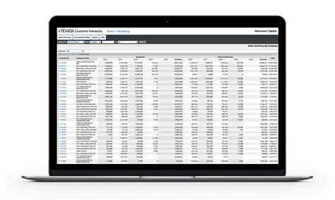 Simplifying Customer Hierarchy Management Texada Software
