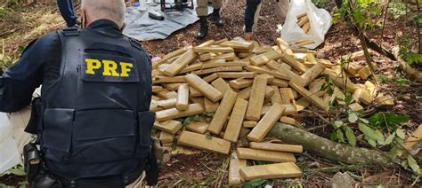 PRF apreende grande quantidade de maconha na BR 267 Polícia