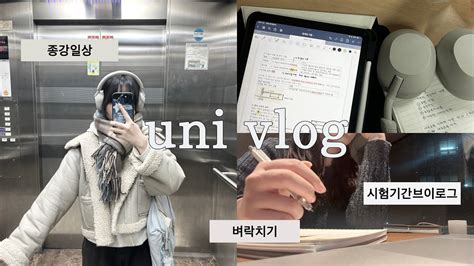 Vlog 12월이면 뭐하나 시험봐야지 ️ 휴학 전 마지막 시험기간 브이로그ㅣ대학생일상브이로그ㅣ기말고사브이로그ㅣ