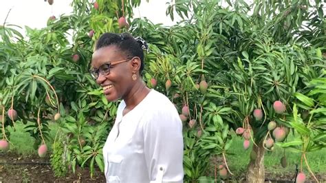 Ally Angula On Linkedin Economic Success Deconstruct Allyangula2024 Registertovote24…