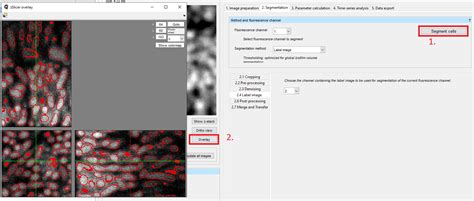 import of single cell segmentation — biofilmq drescher lab