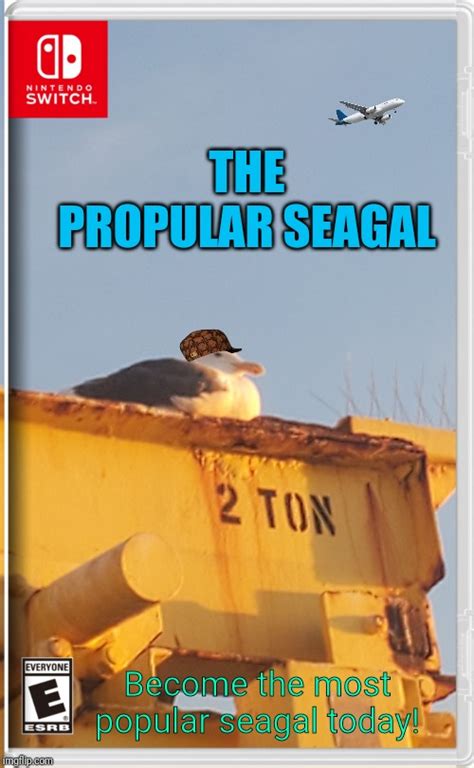 The Propular Seagull Imgflip