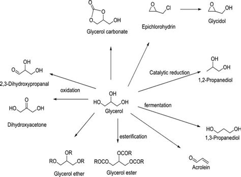 Catalysis For Glycerol Production And Its Applications Intechopen