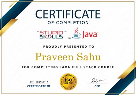Java Fullstackjavadeveloper Stupidskills Certificateofcompletion