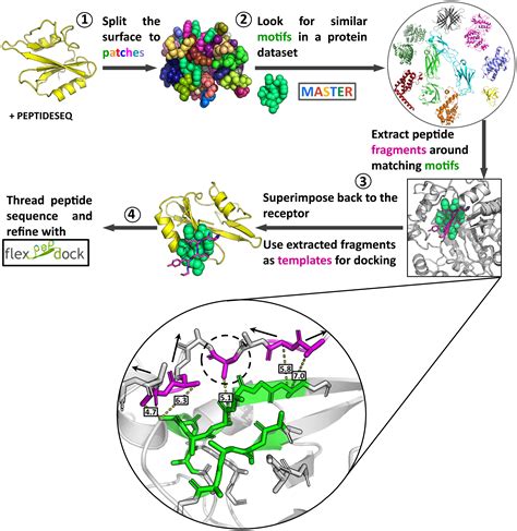Active Learning Of The Conformational Ensemble Of Proteins 44 Off