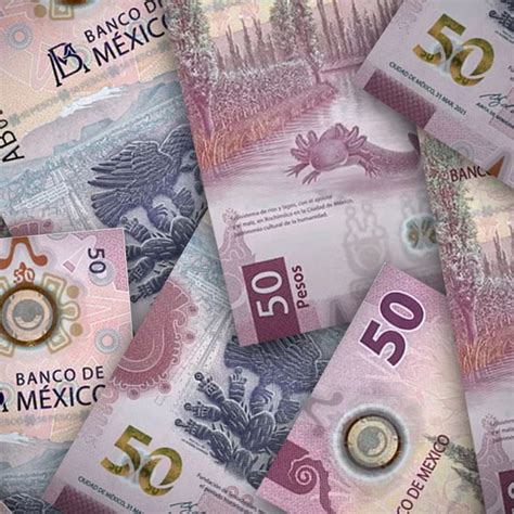 Presidente De La Conmebol Reveló Que El Regreso De Los Equipos