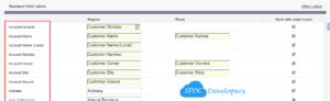 Rename Standard Object And Field Labels SFDC Developers