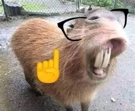 Nerd Blank Template Imgflip