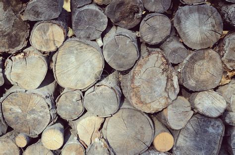 堆满了木头有很多被切割的树干高清图片下载 正版图片507425098 摄图网