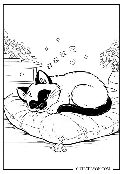 25 Siamese Cat Coloring Pages Free Printable Downloads
