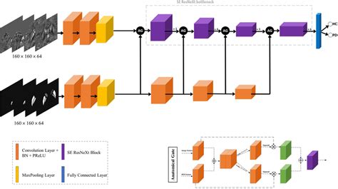 Architecture Of The Classification Model Anatomical Gate Bottom