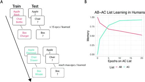 Ab Ac List Learning Paradigm Diagram And Human Data Reproduced From An