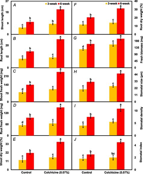 The Morphological And Anatomical Attributes Including Shoot Length A Download Scientific