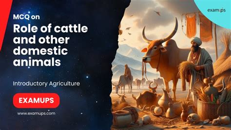 Mcq On Role Of Cattle And Other Domestic Animals Management Of Cattle