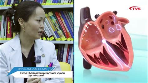 Эрүүл амьдарцгаая нэвтрүүлэг Сэдэв Зүрхний хэм алдагдлаас хэрхэн сэргийлэх вэ Youtube