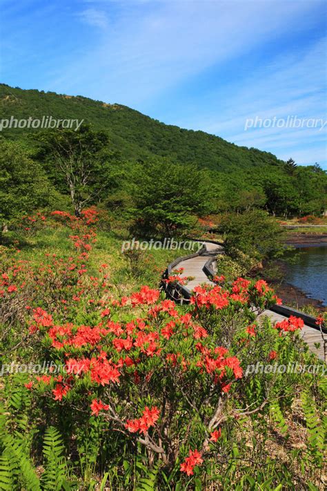 Photolibrary