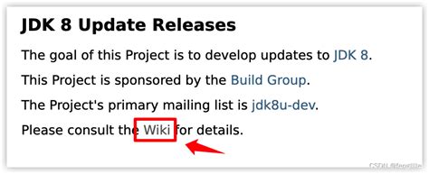 Openjdk 官方二进制下载openjdk17091下载 Csdn博客