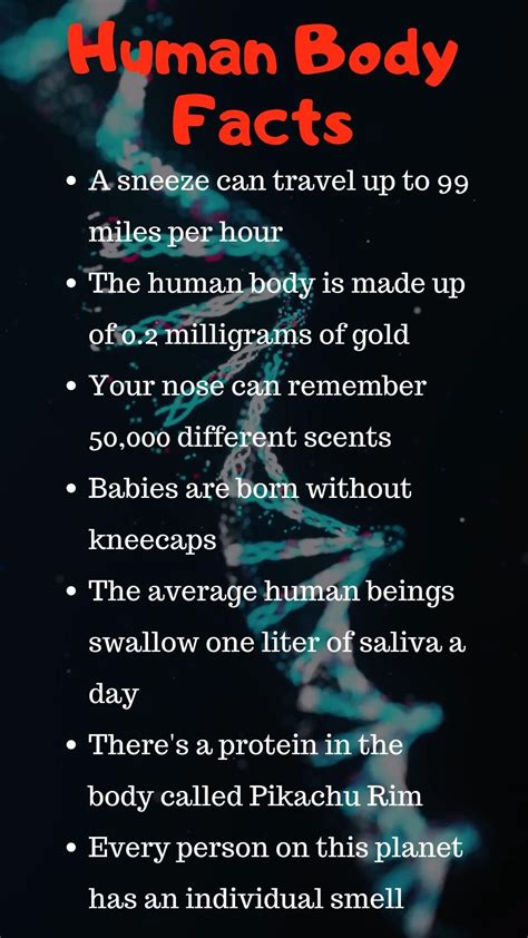 5 Interesting Facts You Should Know 2 Youtube Riset