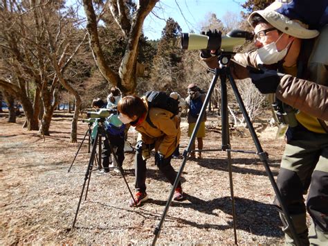 2月26日日自然教室冬の野鳥観察会を開催しました エコパ伊奈ヶ湖