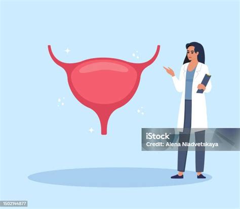 의사가 해부학에 대한 교육 강의를 합니다 인간 방광 인포그래픽을 제시하는 의사 의료 세미나 강의 의료 회의 개념 벡터 그림입니다