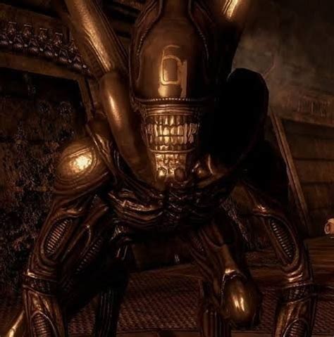 Xenomorfo Wiki Alien Vs Predator Universo Amino