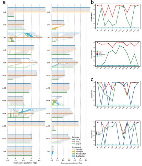 Validation On Human Centromeric Alpha Satellite Sequences A Synteny Download Scientific