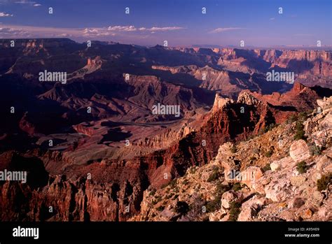 A View Into The Grand Canyon From The South Rim In Grand Canyon