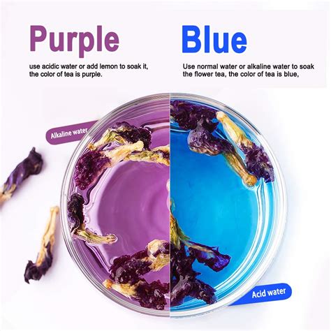 100 Premium Butterfly Pea Flower Tea Organic Butterfly Pea Tea Rich
