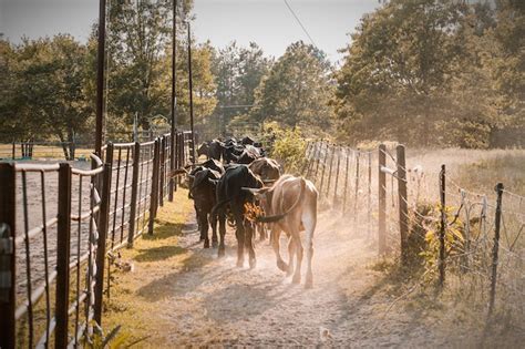 Premium Photo Spring Round Up