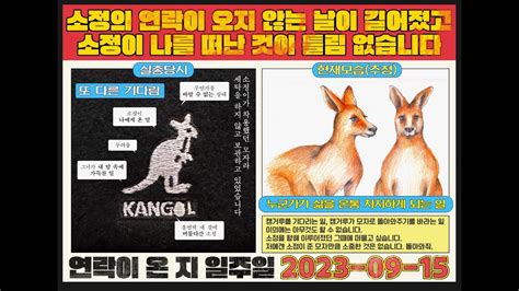 [캉골x이엑구] 캥거루 실종사건 Youtube