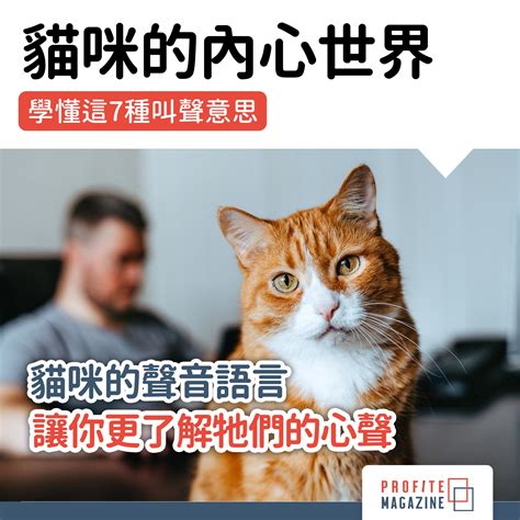 Profite Magazine 網絡熱話｜內地男冒險拍低絕密kk園畫面 原來係咁俾人運過去㗎！😱 近日，《東張西望》爆出一單失蹤少女