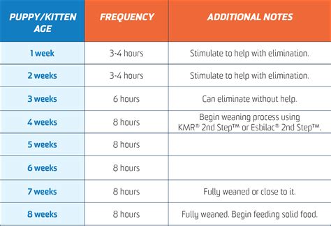 Printable Kitten Feeding Chart