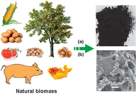 Figure 4 From Biomass Derived Porous Carbon Materials For Advanced