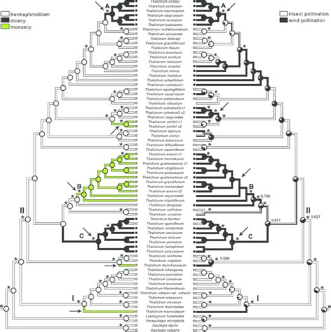 Parsimony And Likelihood Reconstructions Of Ancestral States Of Sexual Download Scientific