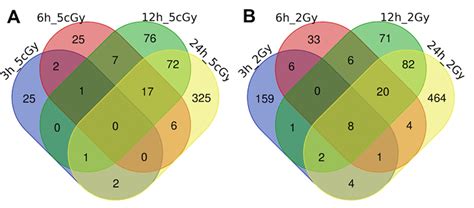 Replicative And Radiation Induced Aging A Comparison Of Gene Expression Profiles Figure F