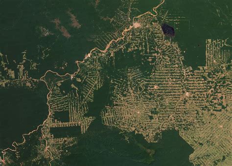 Amazon Rainforest Deforestation Satellite