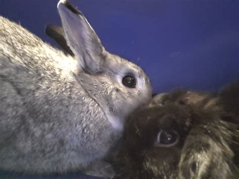 First Date Album On Imgur