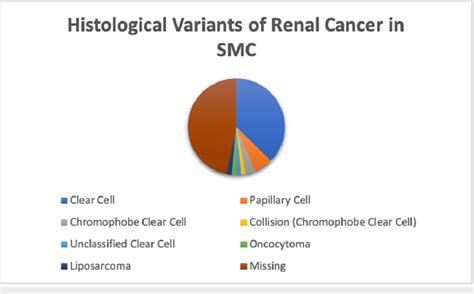 Histological Variants Of Renal Cancers Within The Total Sample Smc