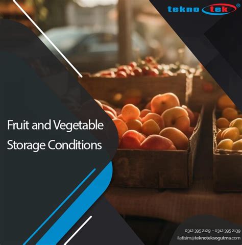 Fruit And Vegetable Storage Conditions Teknotek Soğutma