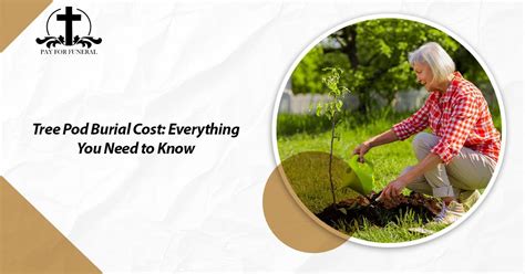 Tree Pod Burial Cost Eco Friendly Farewell