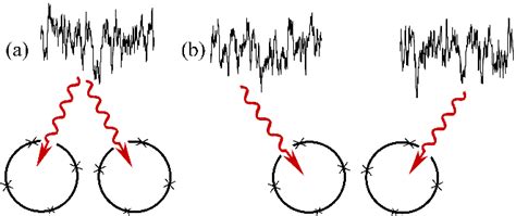 two qubits subjected to a correlated and b uncorrelated noise