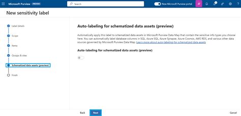 Microsoft Purview Guide Eccentrix Corner