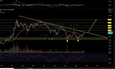 Code Your Tradingview Indicator Pine Script Forex Trading And