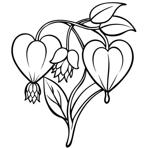 Bleeding Heart Flower Outline Illustration Coloring Book Page Design