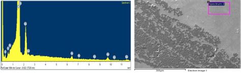 And Table 44 Provide The Result Of Edx Area Mapping For 60611235 H19