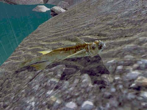 File OB Quest Go Fish UESP Wiki The Unofficial Elder Scrolls Pages