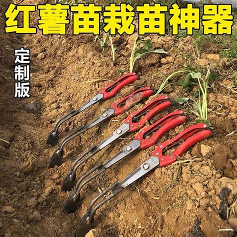 种红薯工具 人工栽红薯工具 种红薯器工具 第10页 大山谷图库