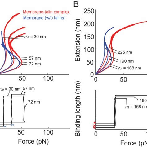 Cellular Traction Force Vs Substrate Stiffness Curves Calculated From