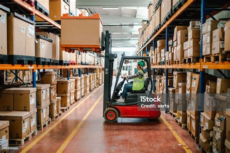 효율적인 창고 물류 공장 창고의 하역장에서 트럭으로 상자를 옮기는 젊은 여성 지게차 운전사 지게차에 대한 스톡 사진 및 기타