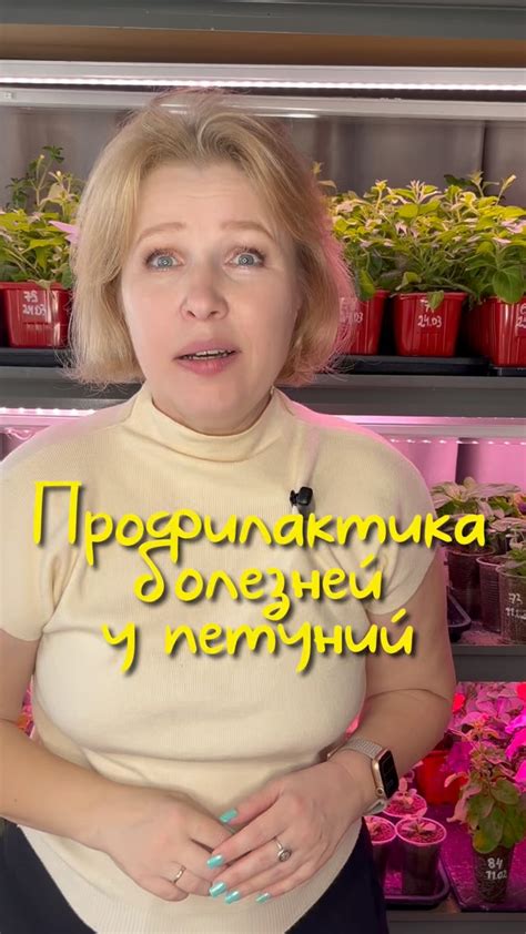 Скручивание листьев Они скручиваются в трех случаях Пересох грунт Перелив Не хватает бора В